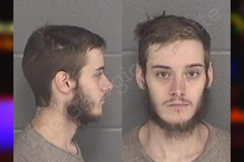 Bryce Robinson — Barrow County Jail Bookings