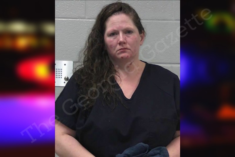 Allison Sunderman — Gilmer County Jail Bookings