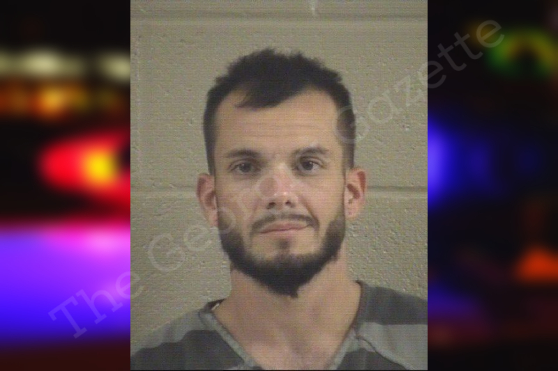 Brandon Williams — Whitfield County Jail Bookings