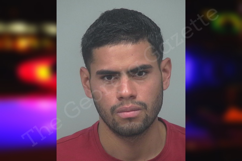 Luis Zepeda Flores — Gwinnett County Jail Bookings