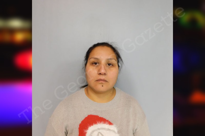 Teresa Aviles — Hall County Jail Bookings
