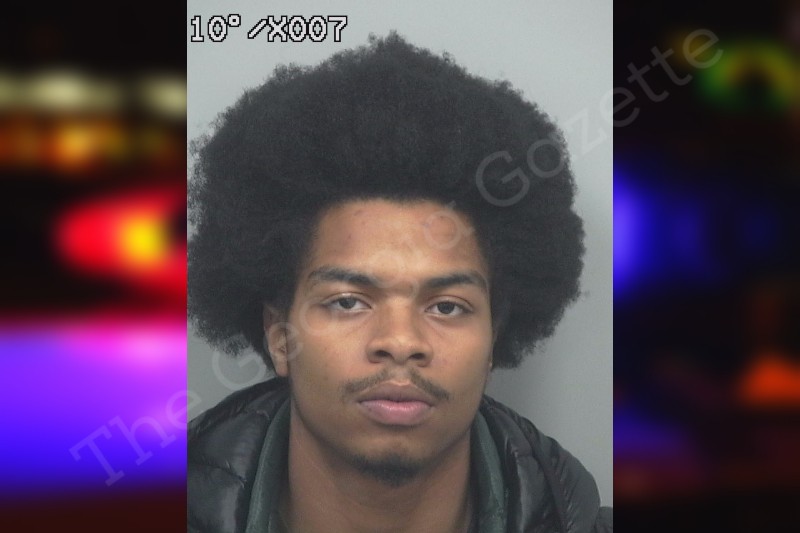 Clayton Blake — Gwinnett County Jail Bookings