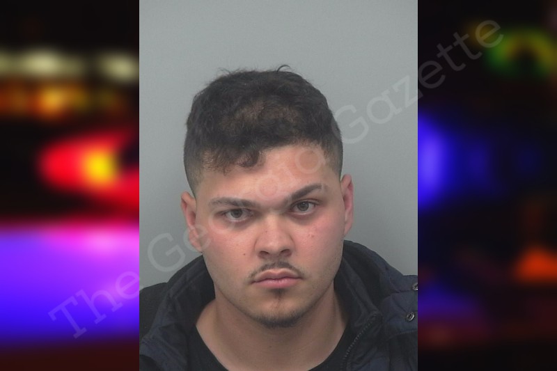 Timothy Bouley — Gwinnett County Jail Bookings