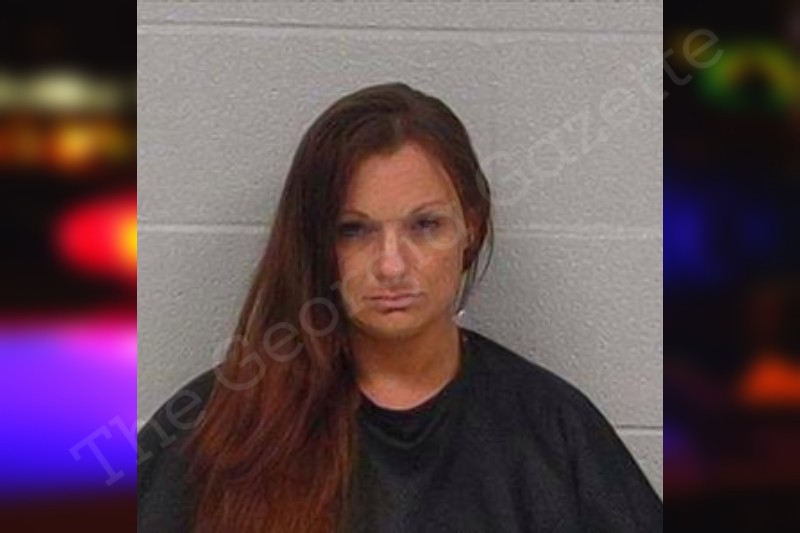 Brandy Chapman — Carroll County Jail Bookings