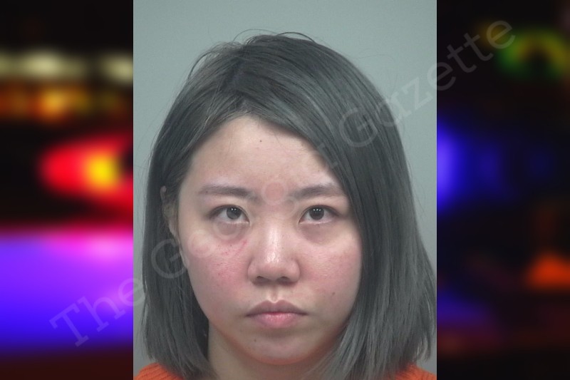 Yu Chen — Gwinnett County Jail Bookings
