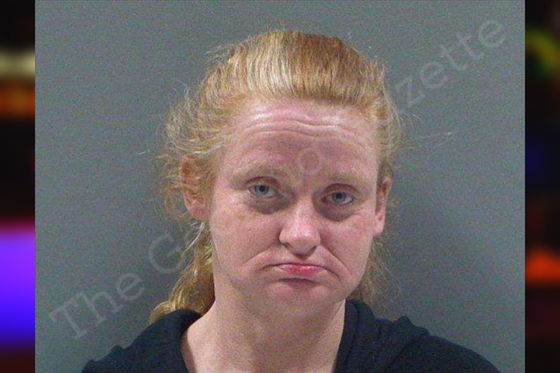 Lisa Craig — Rabun County Jail Bookings