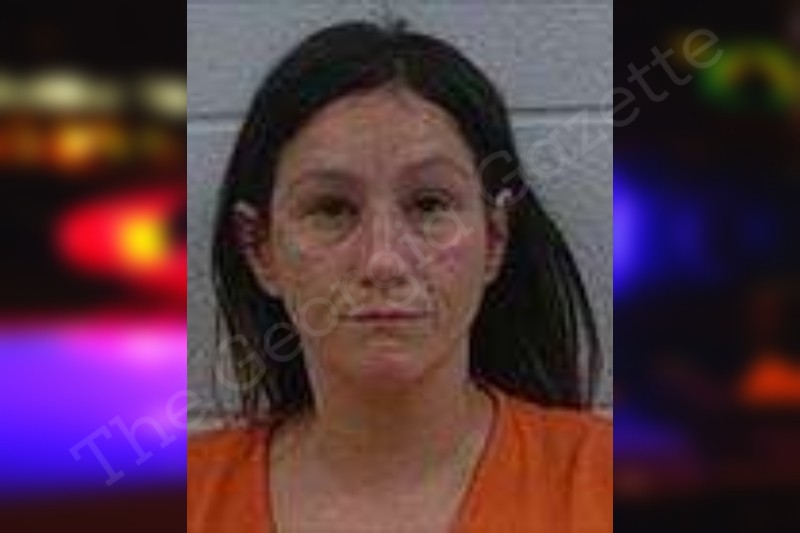 Maria Crocker — Polk County Jail Bookings