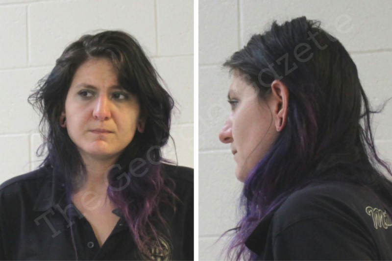 Meghan Church — Houston County Jail Bookings