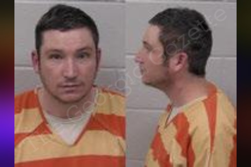 Robert Davis — Paulding County Jail Bookings