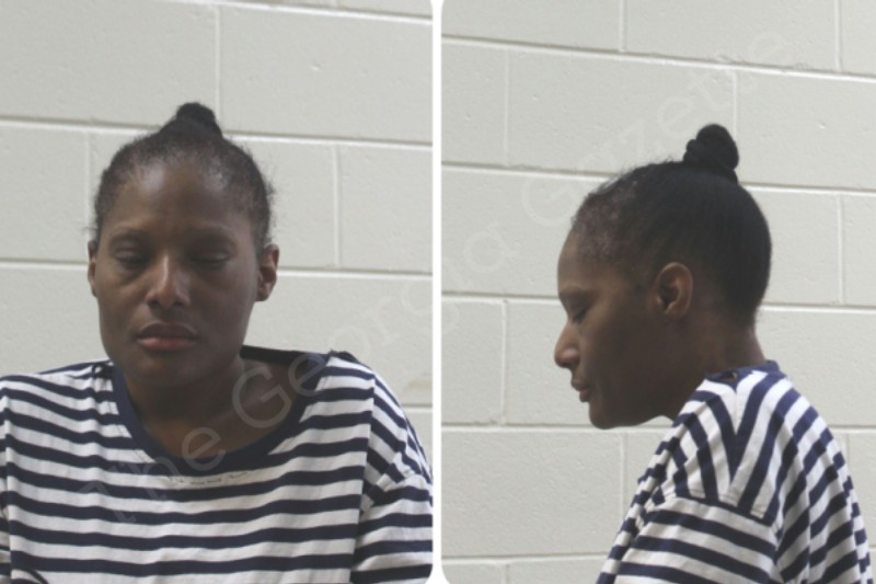 Cynthia Dickerson — Houston County Jail Bookings