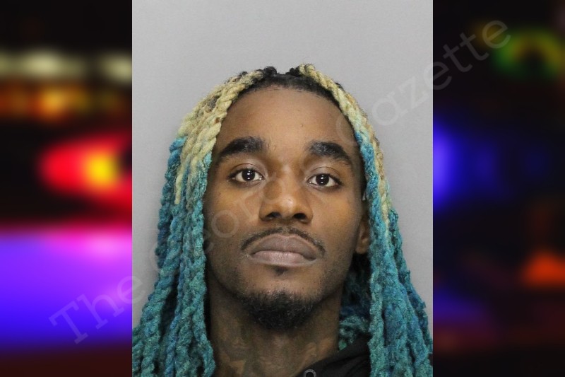 Brian Fleming — Cobb County Jail Bookings