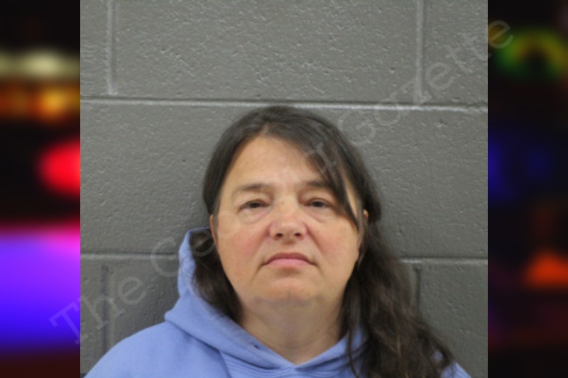 Misty Fleming — Banks County Jail Bookings