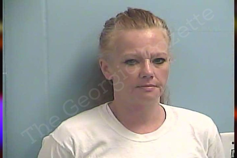 Debbie Gee — Dawson County Jail Bookings