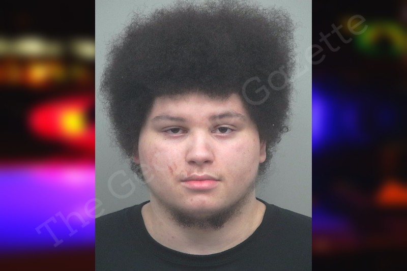 Thomas Giblin — Gwinnett County Jail Bookings