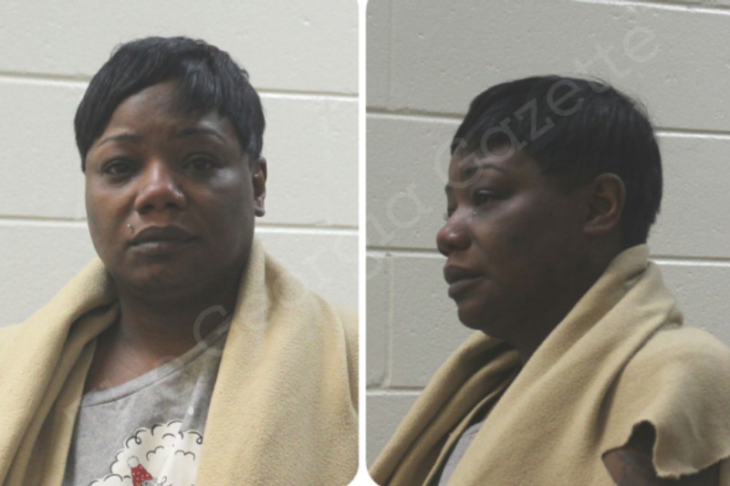 Yolanda Green — Houston County Jail Bookings