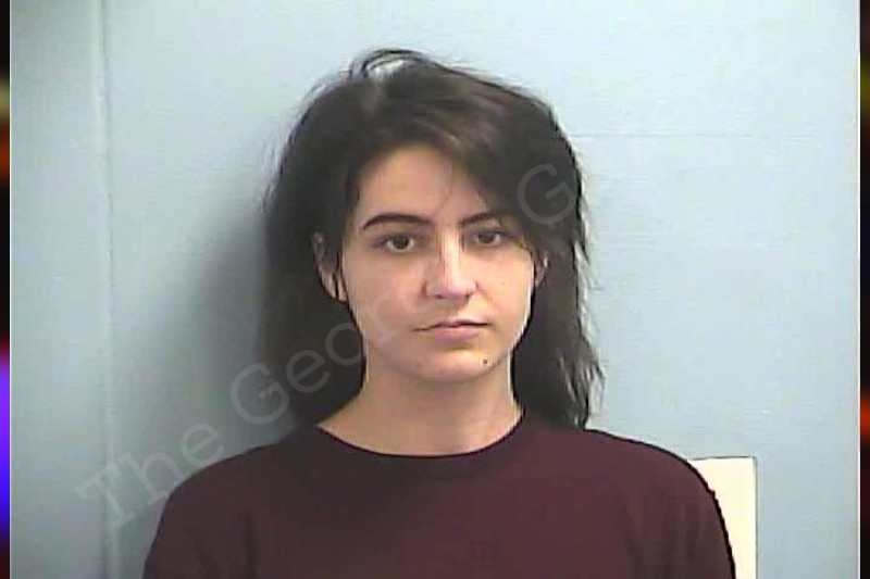 Emily Hall — Dawson County Jail Bookings