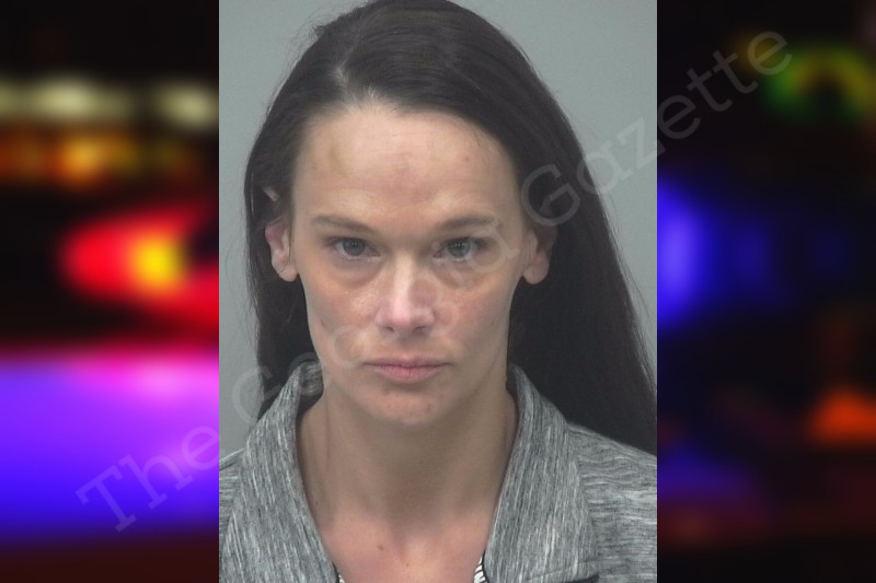 Amanda Hughey — Gwinnett County Jail Bookings