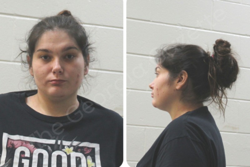 Kelly Hicks — Houston County Jail Bookings