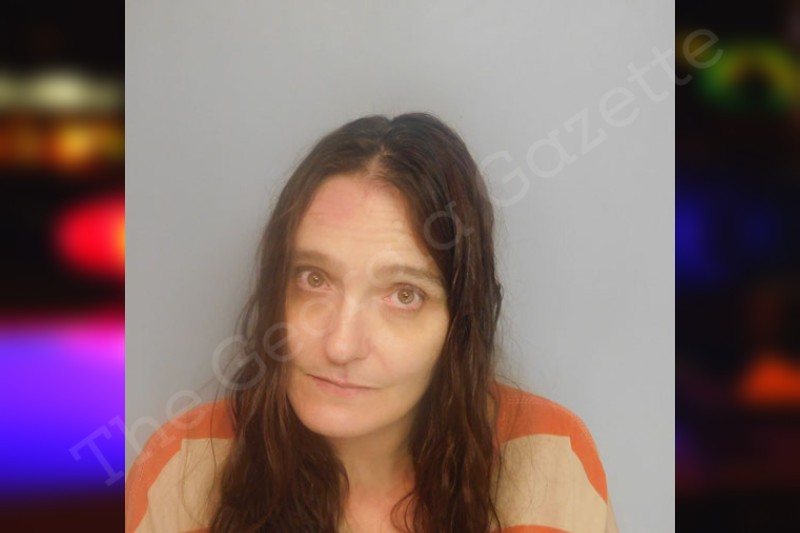 Jennifer Joy — Hall County Jail Bookings