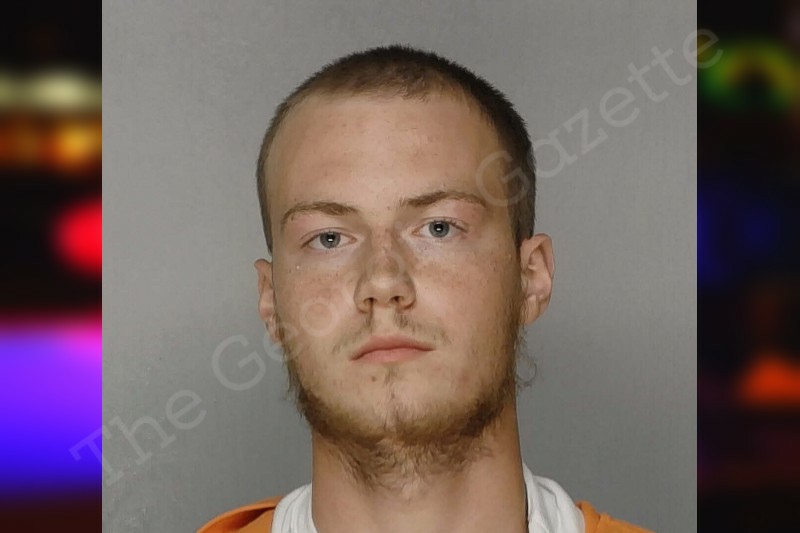 Jordan Mullis — Bibb County Jail Bookings