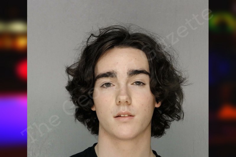 Joshua Lyles — Bibb County Jail Bookings