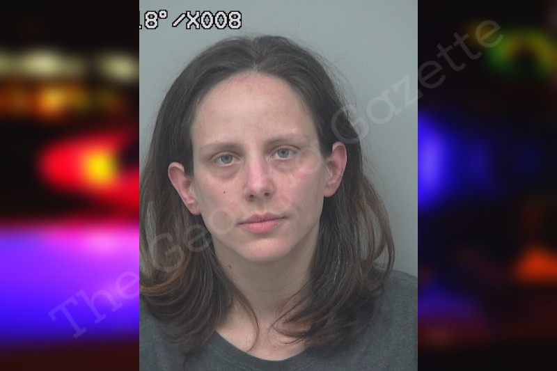 Lee Mccann — Gwinnett County Jail Bookings