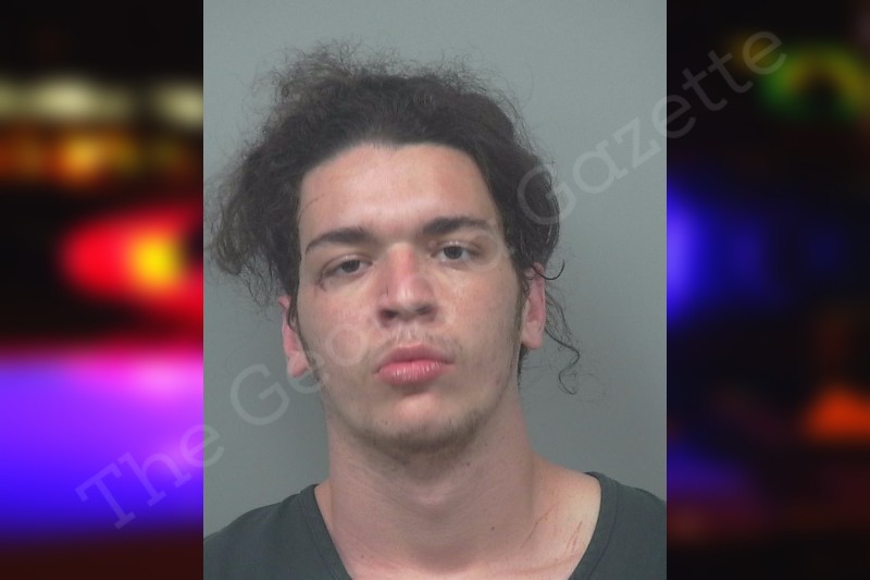 William Mitchell — Gwinnett County Jail Bookings