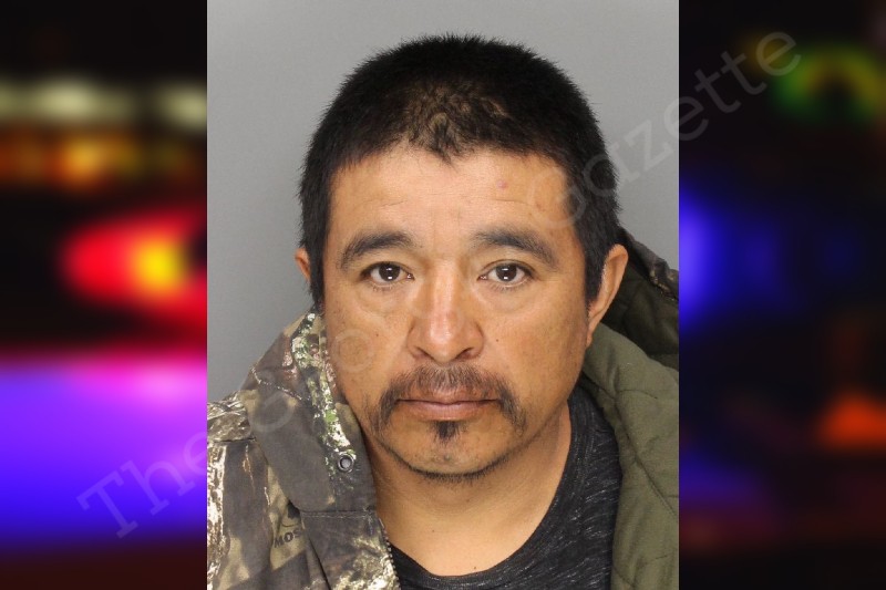 Miguel Ramirez — Cobb County Jail Bookings