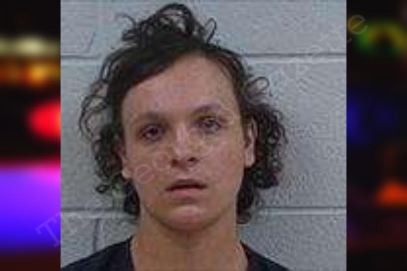 Daniel Oneal — Polk County Jail Bookings