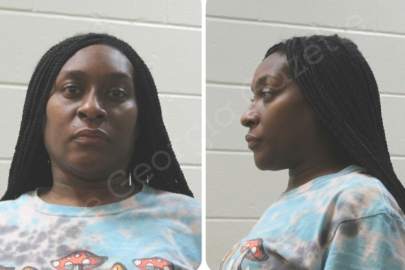 Erica Oconnor — Houston County Jail Bookings