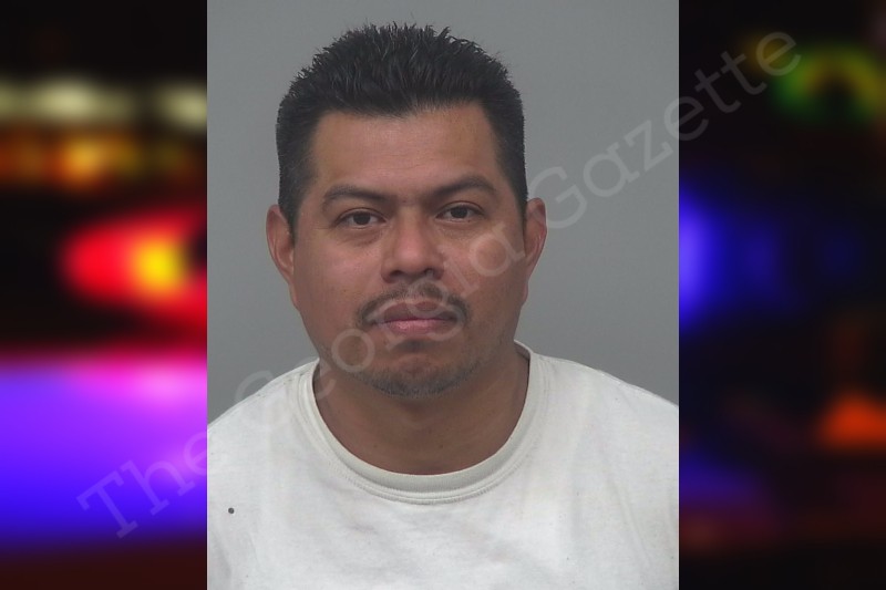 Wilmar Perez Ramirez — Gwinnett County Jail Bookings