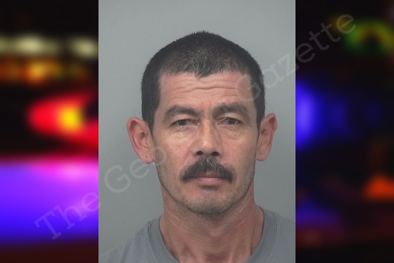 Raul Pinon — Gwinnett County Jail Bookings