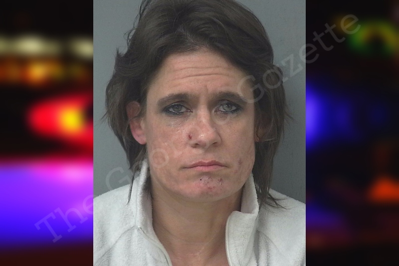 Tamara Pittman — Gwinnett County Jail Bookings