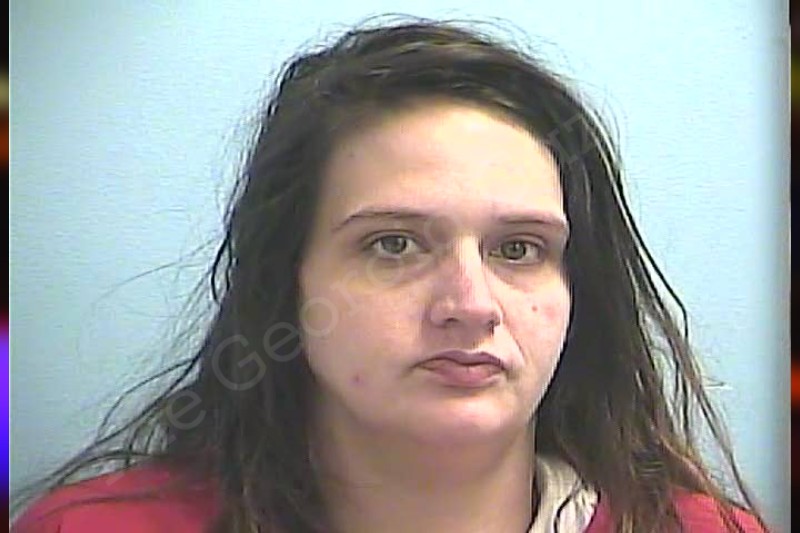 Danielle Ray — Dawson County Jail Bookings