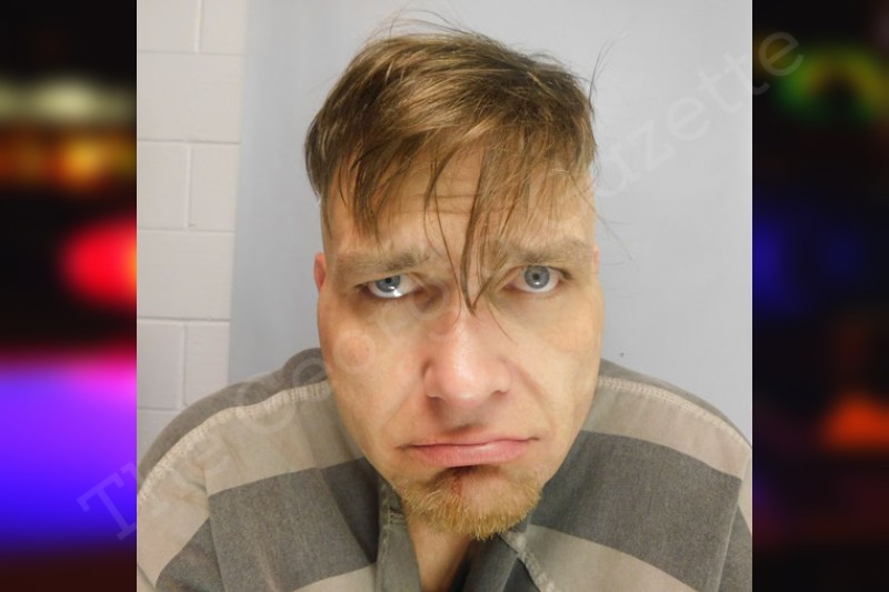 Joshua Reed — Hall County Jail Bookings