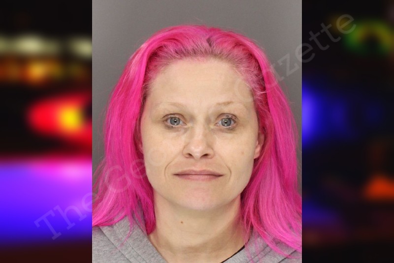 Stephanie Reddin — Cobb County Jail Bookings