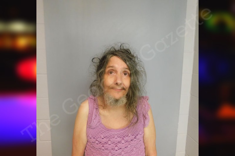 Pam Sisk — Hall County Jail Bookings