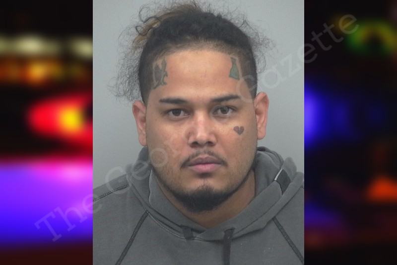Jean Stanley — Gwinnett County Jail Bookings