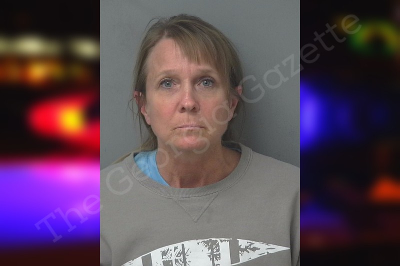 Michelle Stitt — Gwinnett County Jail Bookings