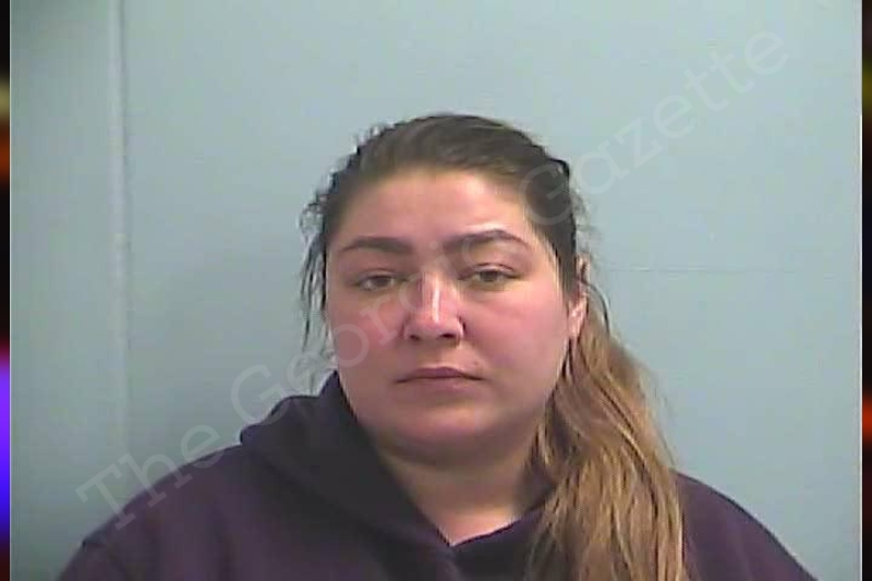 Hayley Sullivan — Dawson County Jail Bookings