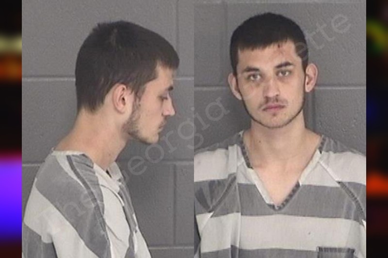 Steven Samples — Barrow County Jail Bookings