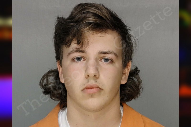 Samuel Lemon — Bibb County Jail Bookings