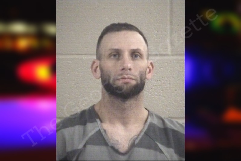 Steven Seay — Whitfield County Jail Bookings