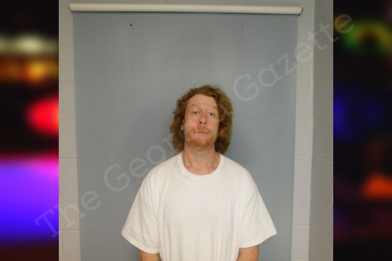 Dylan Warren — Hall County Jail Bookings