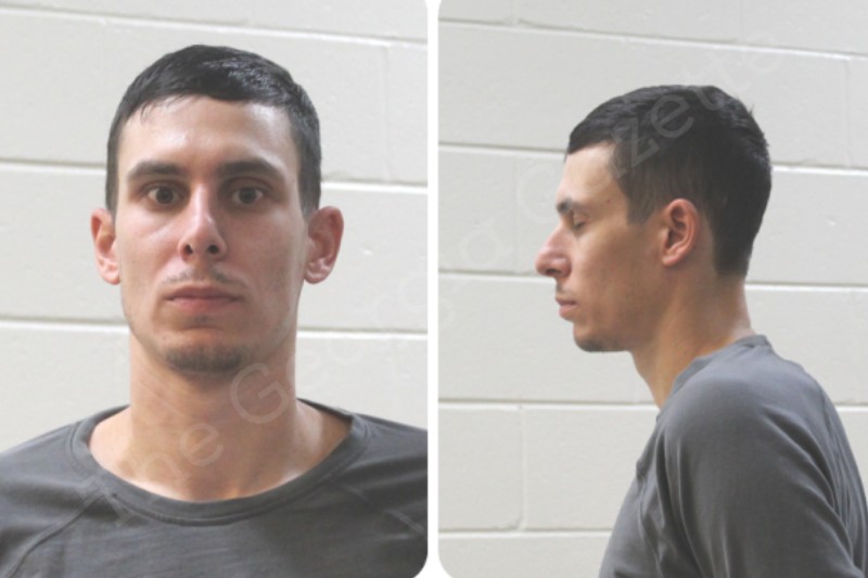 Brandon Wheeler — Houston County Jail Bookings