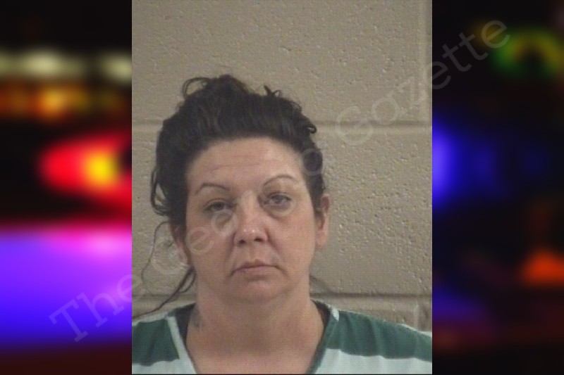 Amanda Baine — Whitfield County Jail Bookings