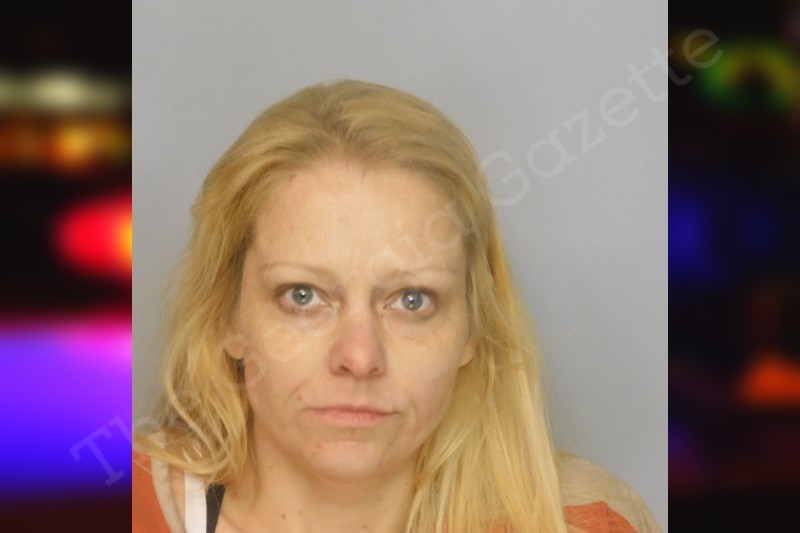 Amanda Batson — Hall County Jail Bookings