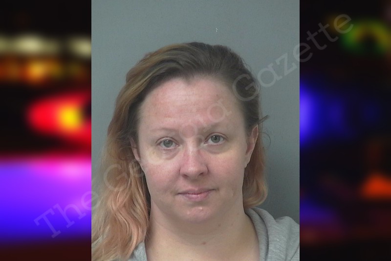 Amanda Boss — Gwinnett County Jail Bookings