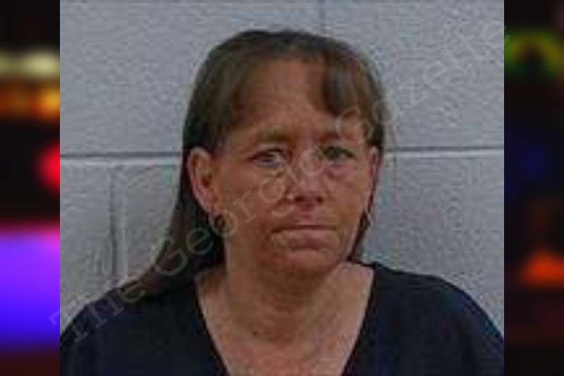 Andrea Boyd — Polk County Jail Bookings