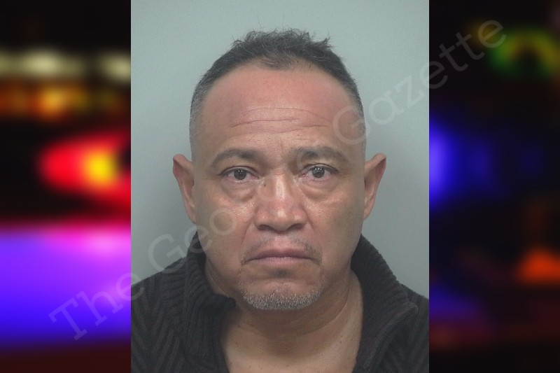 Raul Brito Millan — Gwinnett County Jail Bookings